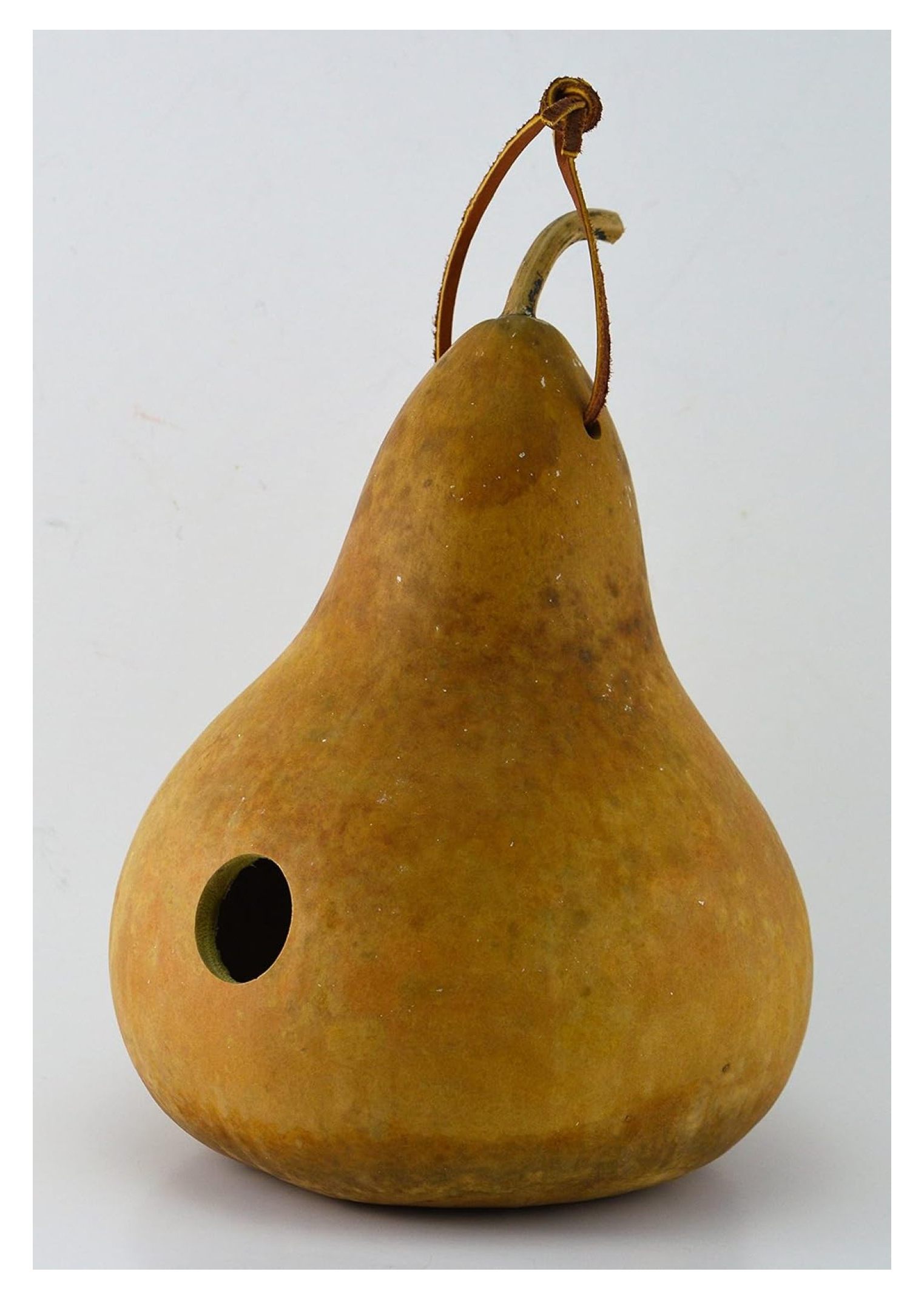 Gourd Birdhouse, Unfinished, Craft Ready, Box of 3 - Walmart.com