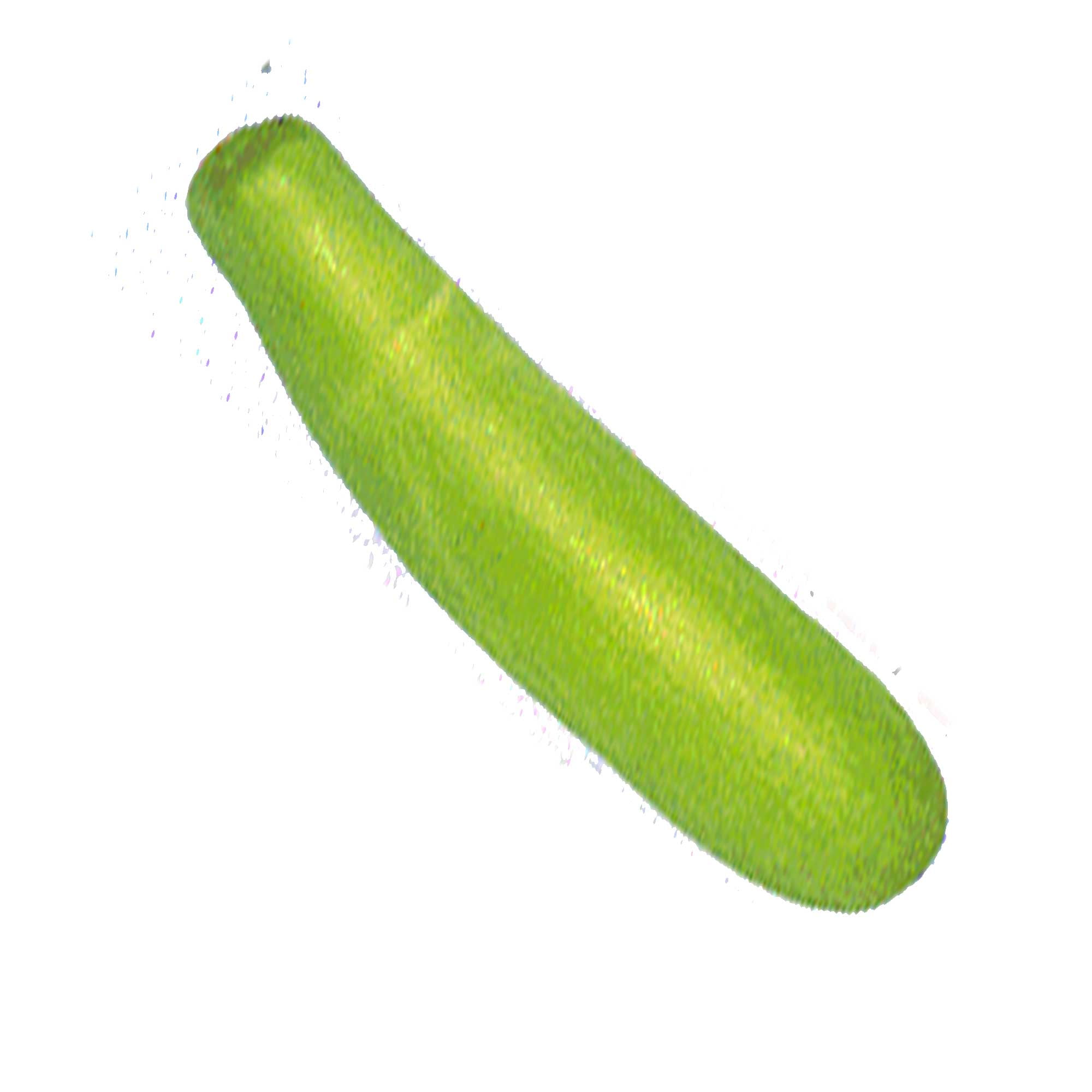 Gourd Seeds, Bottle - Calabash Long - 1 Oz ~840 Seeds - Non-GMO ...