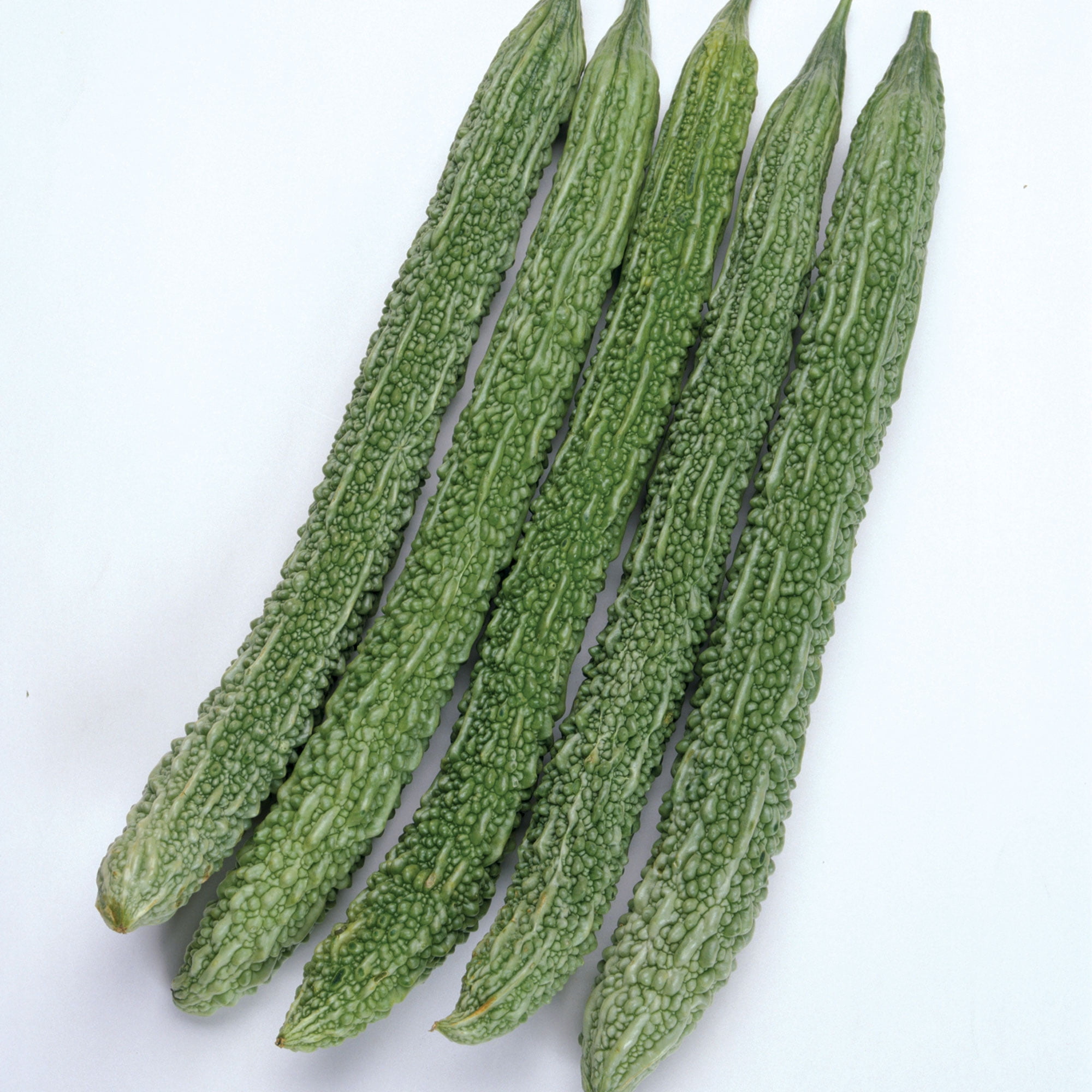 Kitazawa Seed Company 15 Bitter Long Gourd Plant Seeds, Non-GMO ...