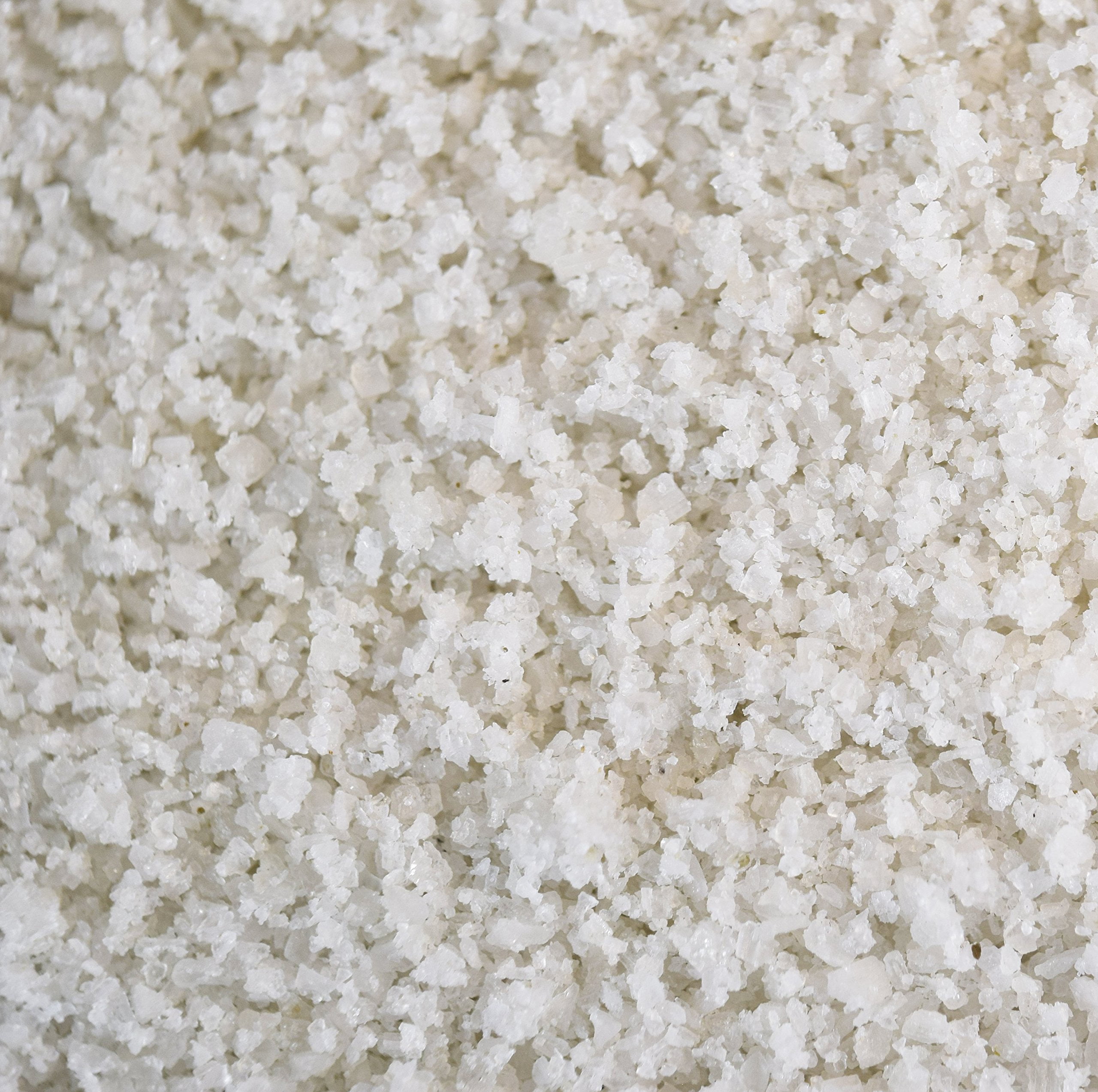 Gourmet Celtic Style French Grey Sel Gris Sea Salt (16oz Ground Fine ...