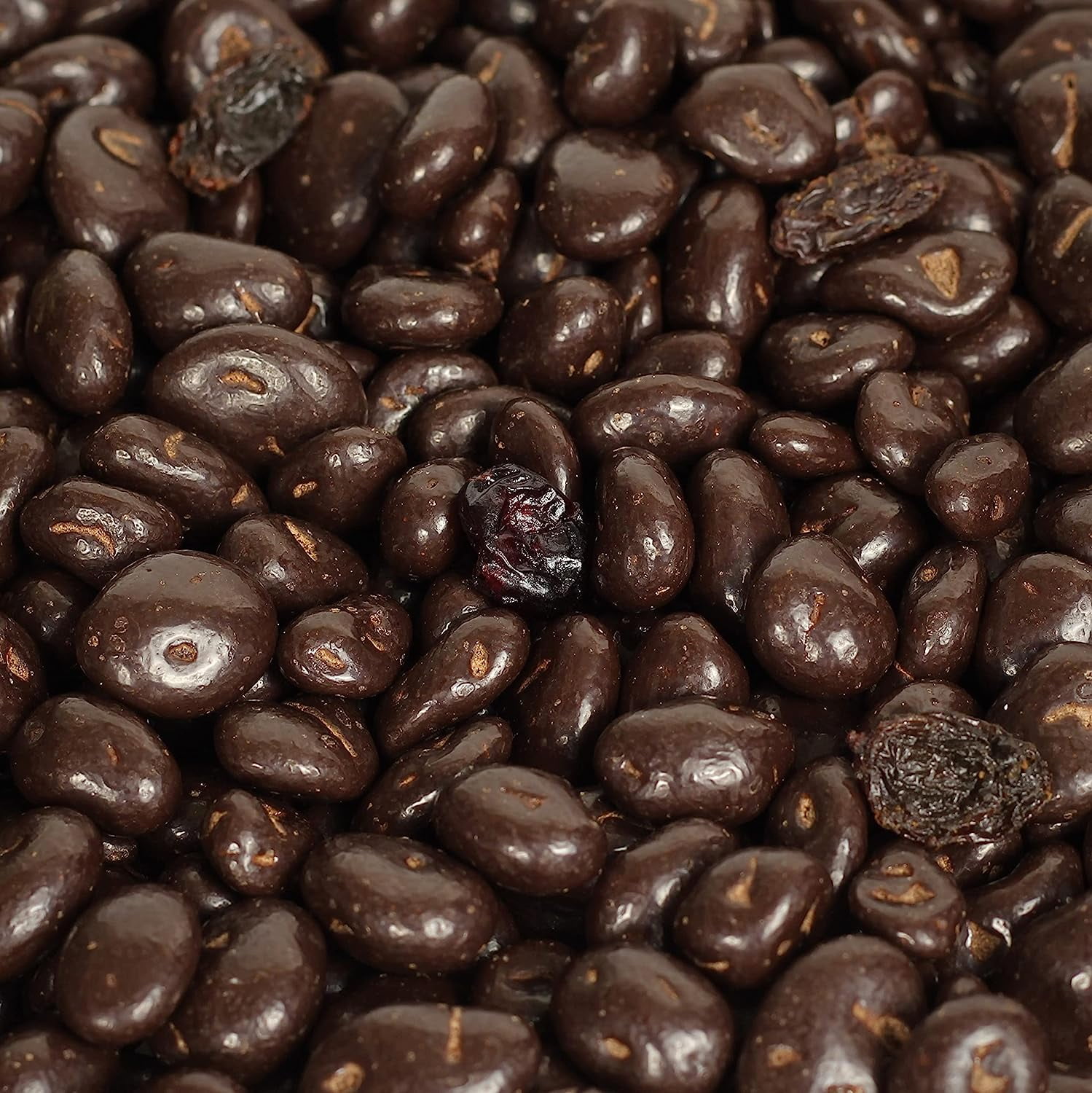 Gourmet Chocolate Covered Raisins by Its Delish, 5 Lbs Bulk Bag | Dark ...