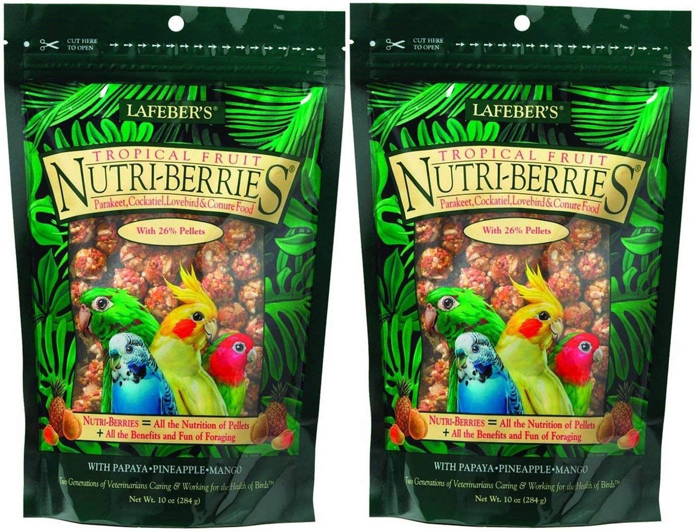 Gourmet Tropical Fruit Nutri-Berries Parakeet, Cockatiel & Conure Food ...