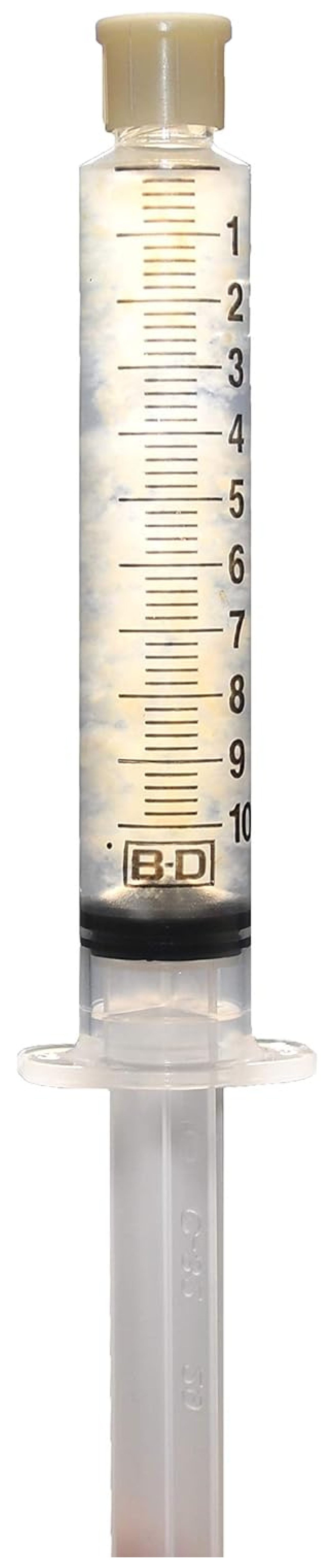 Gourmet and Medicinal Mushroom Cultures (Yellow Reishi (Ganoderma ...