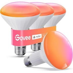 Govee Light Bulb
