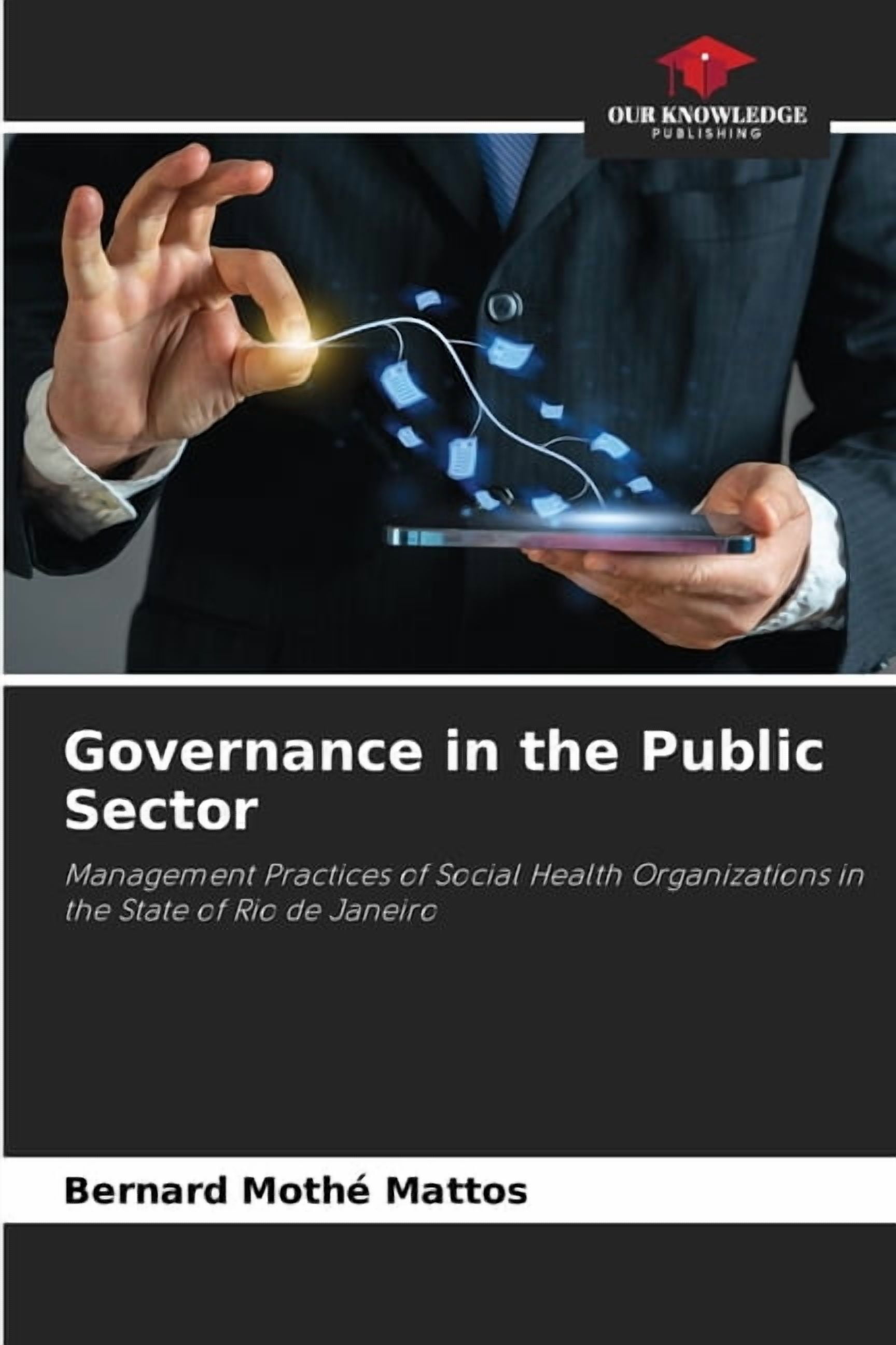Governance in the Public Sector, (Paperback) - Walmart.com