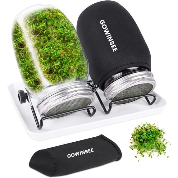 Gowinsee Seed Sprouting Jar Kit, Indoor Sprouter Set, 2 Pack, Mason ...