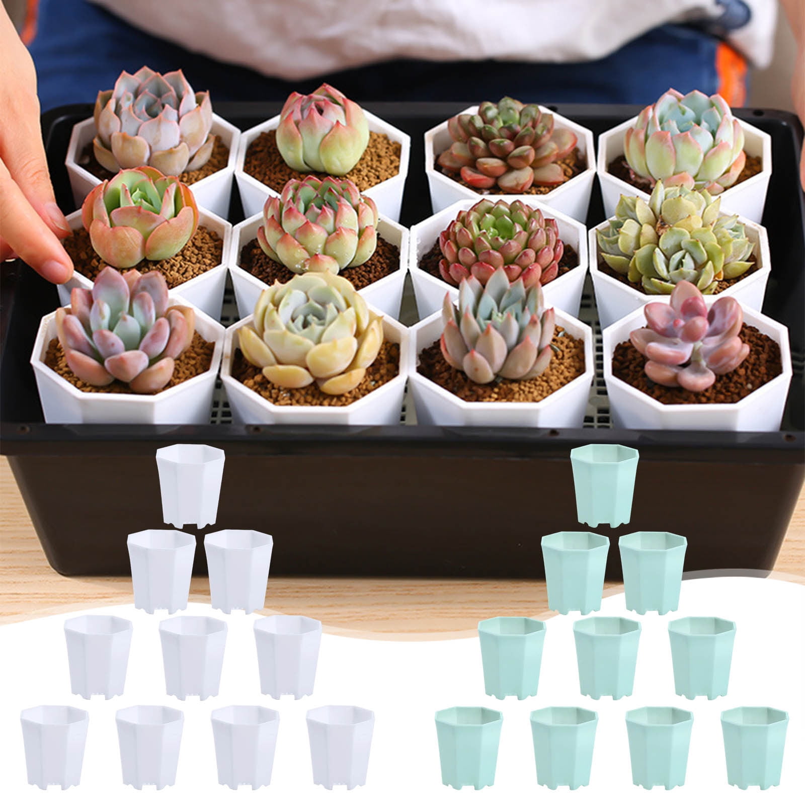 Grab Deal, 10-Piece Decorative Resin Flowerpots, Succulent Pot Planters ...