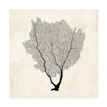 Grace Popp 'Garden Sketch II' Canvas Art - Walmart.com