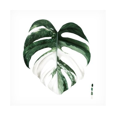 Deborah Knudson 'Bee Blossom' Canvas Art - Walmart.com