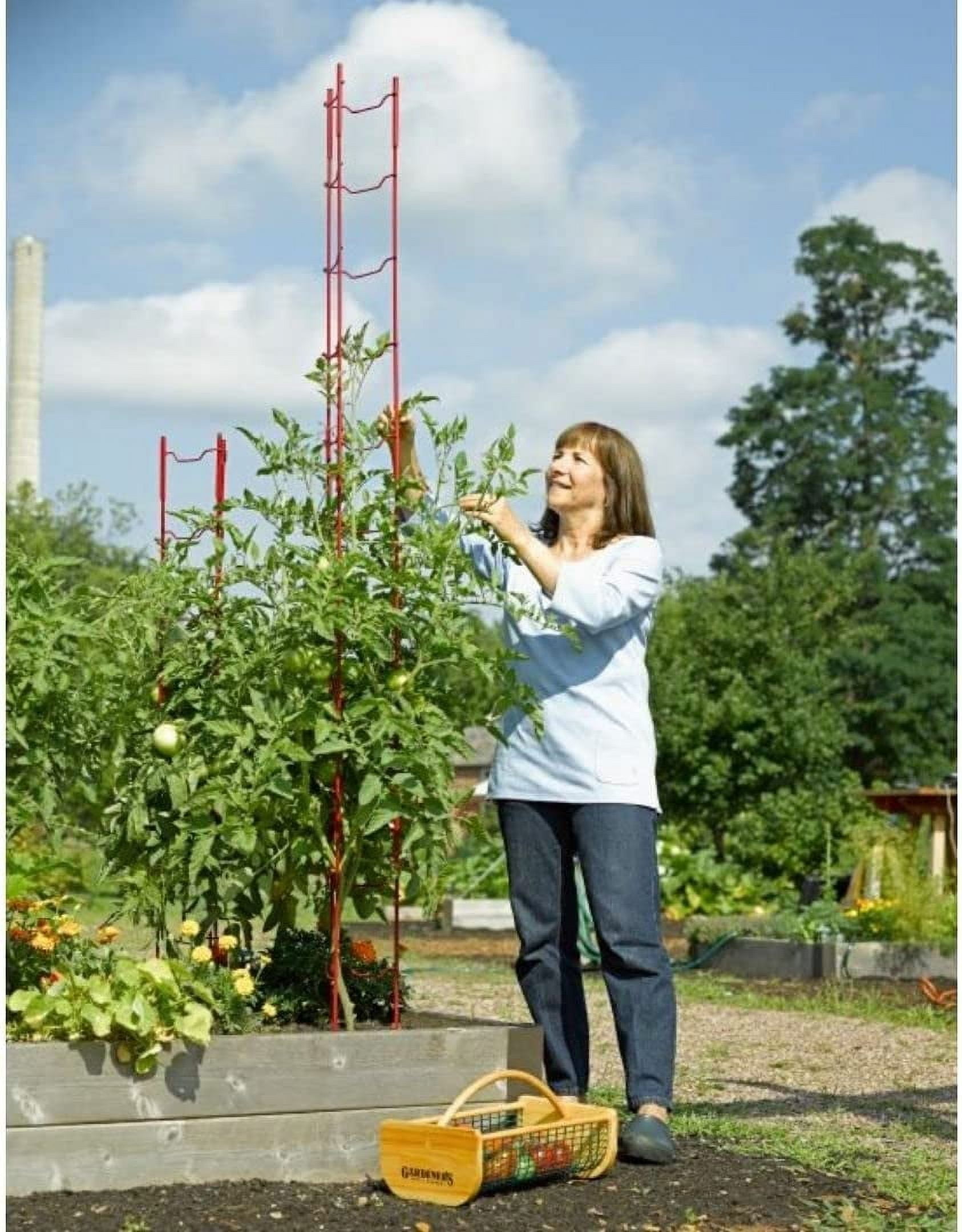 GraceHome-US Stacking Tomato Ladder Stakes | Heavy Gauge Tall Trellis ...
