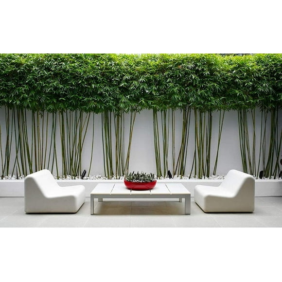 Fast Growing Privacy