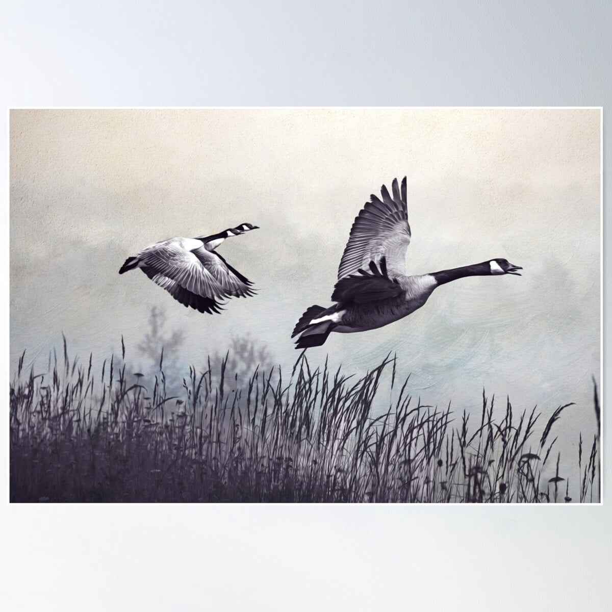 Graceful Canada Geese Poster Wall Art, Modern Wall Decor For Living ...
