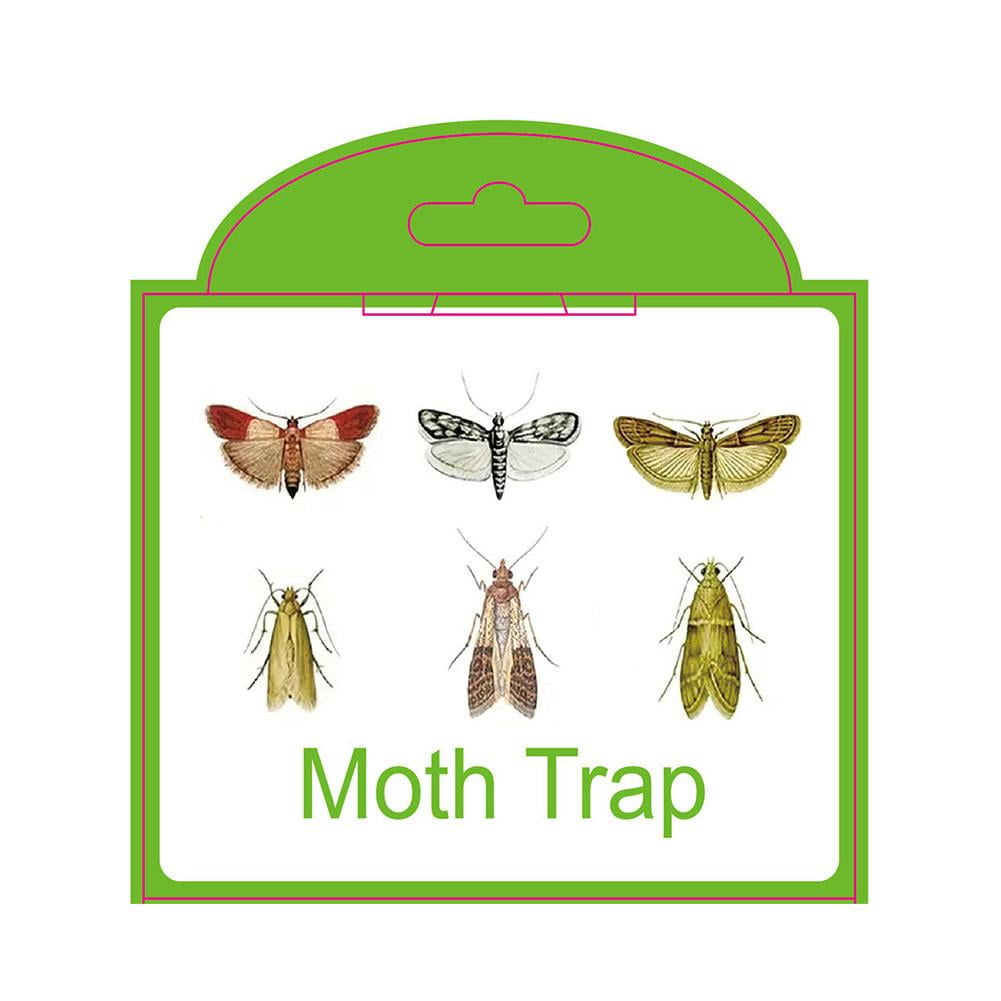 Gracefulvara 1pcs Green And White Moth Trap Moth Catcher Moth Clothes Moth Insect Trap