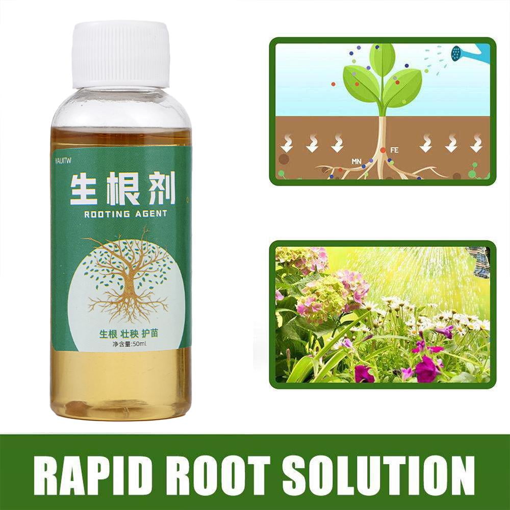 Gracefulvara Quick Rooting Liquid Plant Strong Rooting Powder Plant ...