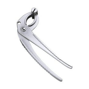 Plate Lifter Kitchen