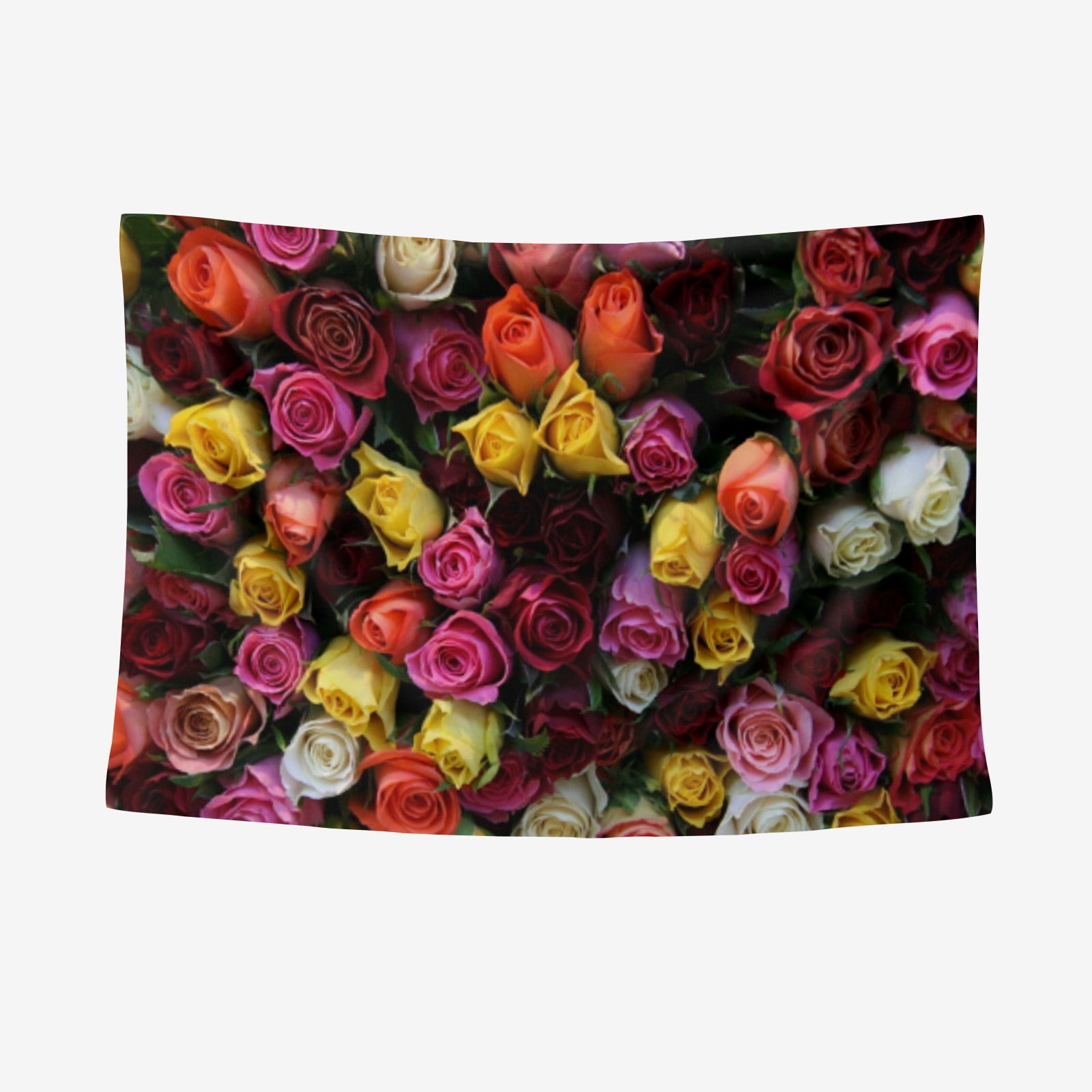 Graduate from college Photography Backdrops Nature Backdrop Birthday ...