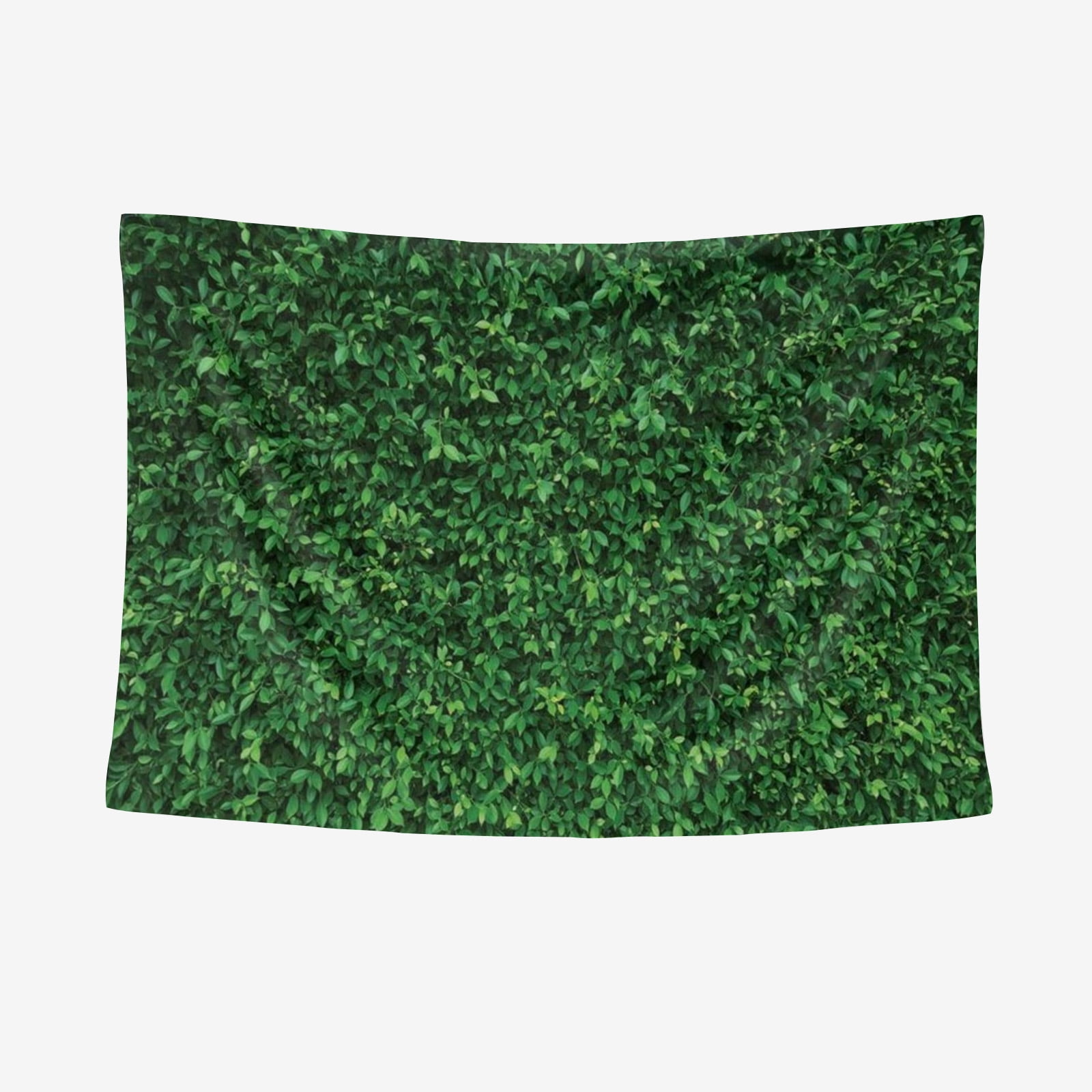 Graduate from college Photography Backdrops Nature Backdrop Birthday ...