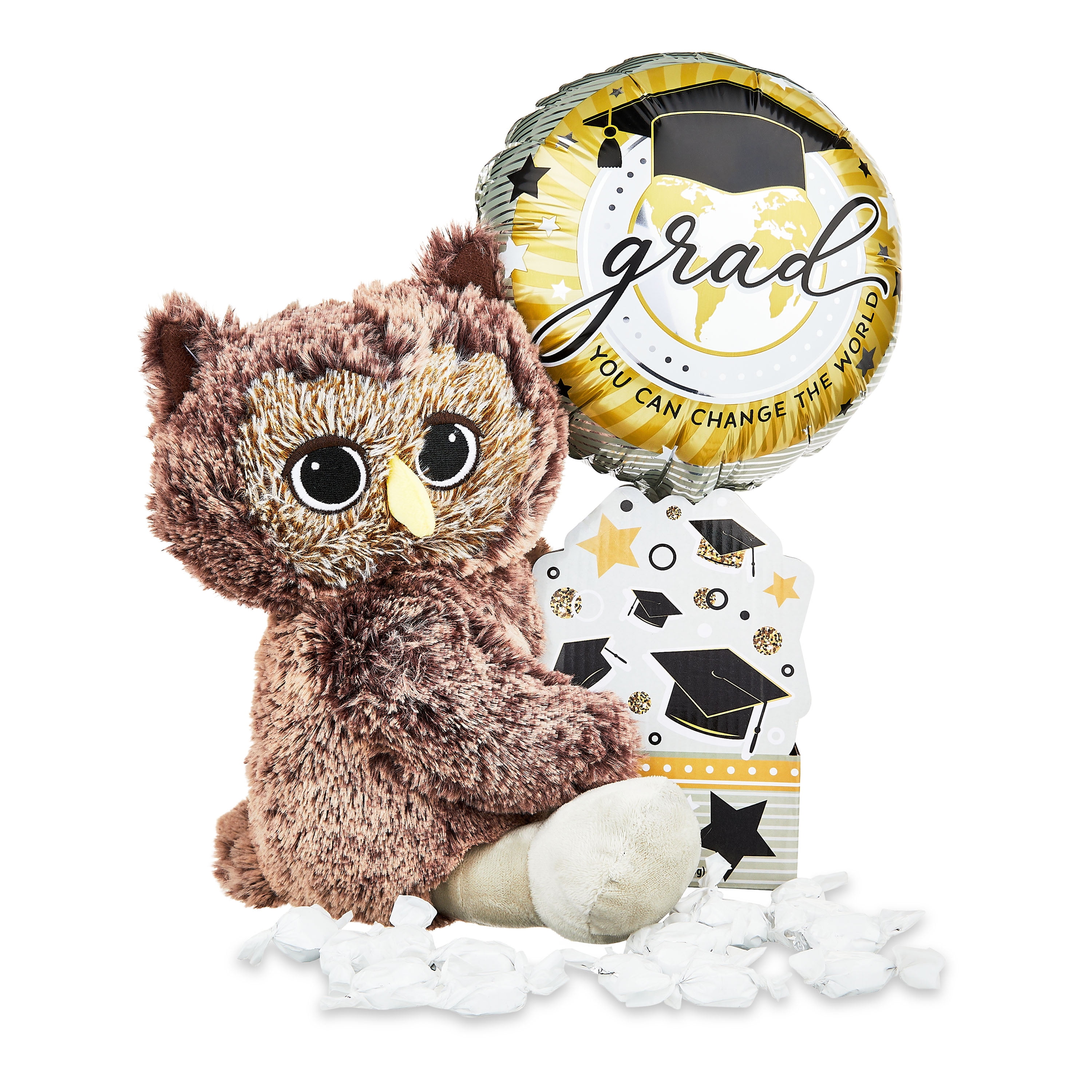 Graduation 2024 Brown Owl Plush with Candy & Balloon by Way To ...