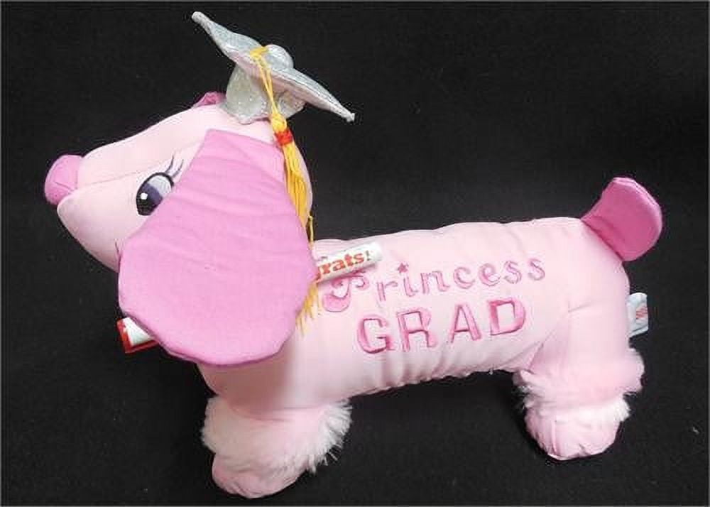 Graduation Autograph Stuffed Princess Dog w/ Pen "Congrats Grad" 12 ...