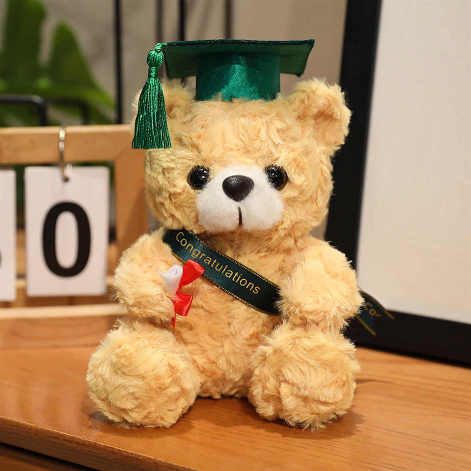 Graduation Bear Class of 2025 Teddy Bear Stuffed Animal with Black Grad ...