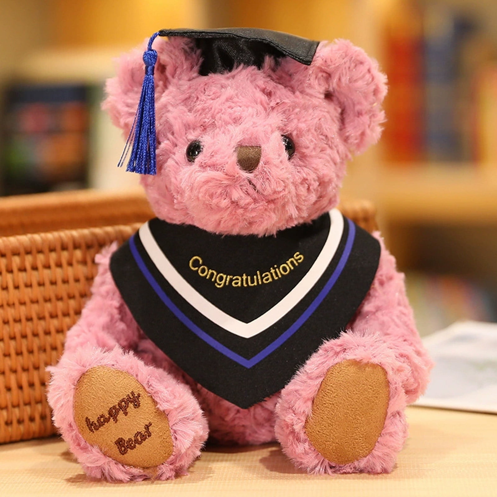 Graduation Bear Plush Gift Stuffed Animal Bear with Grad Cap for Class ...