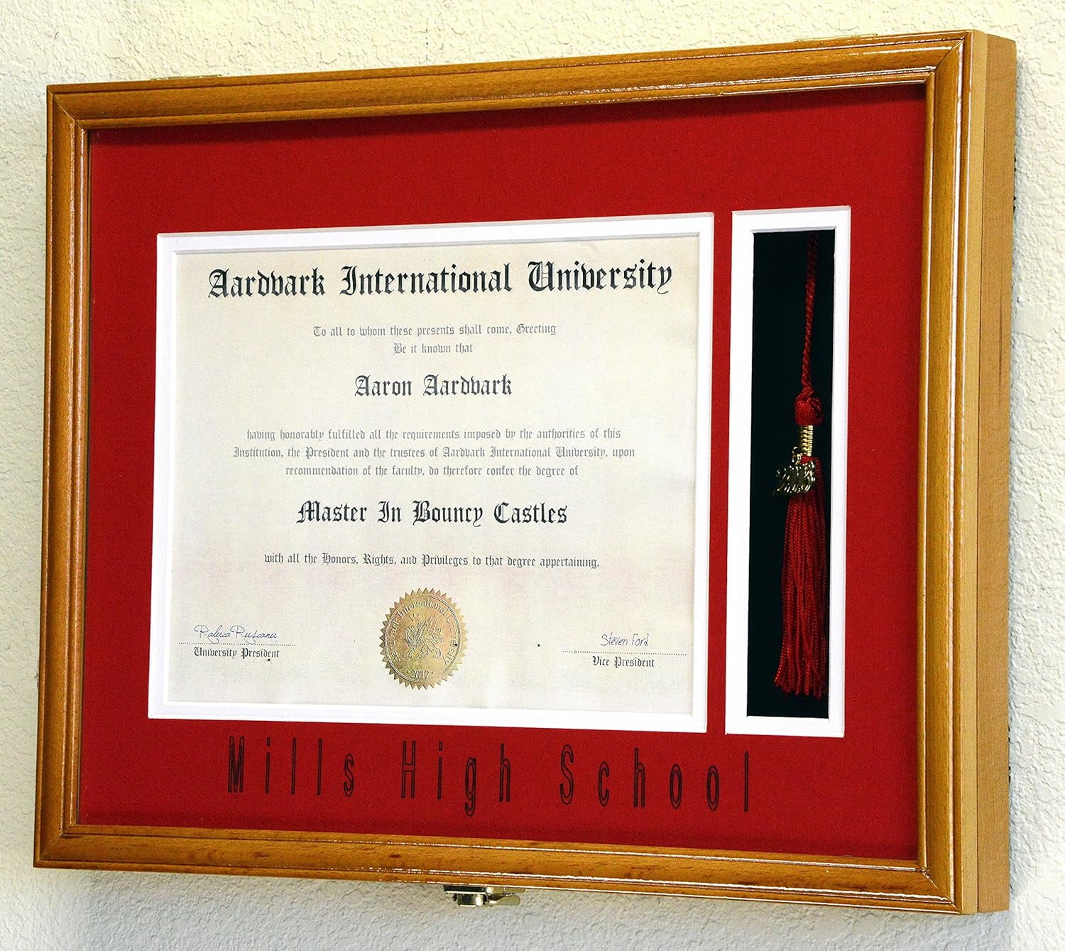 Graduation Diploma and Tassel Frame Display Case 11 x 8.5 w/Custom ...