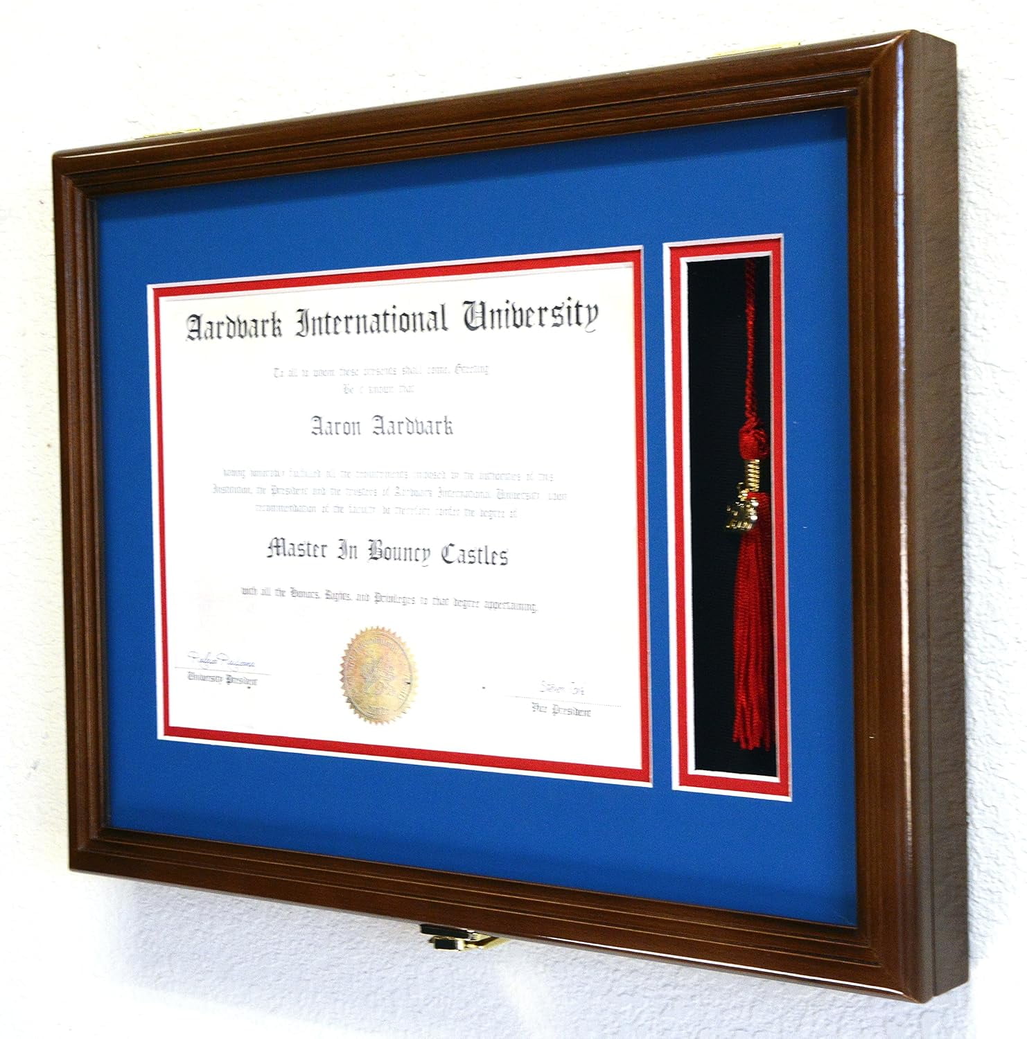 Graduation Diploma and Tassel Frame Display Case 11 x 8.5 w/Custom ...