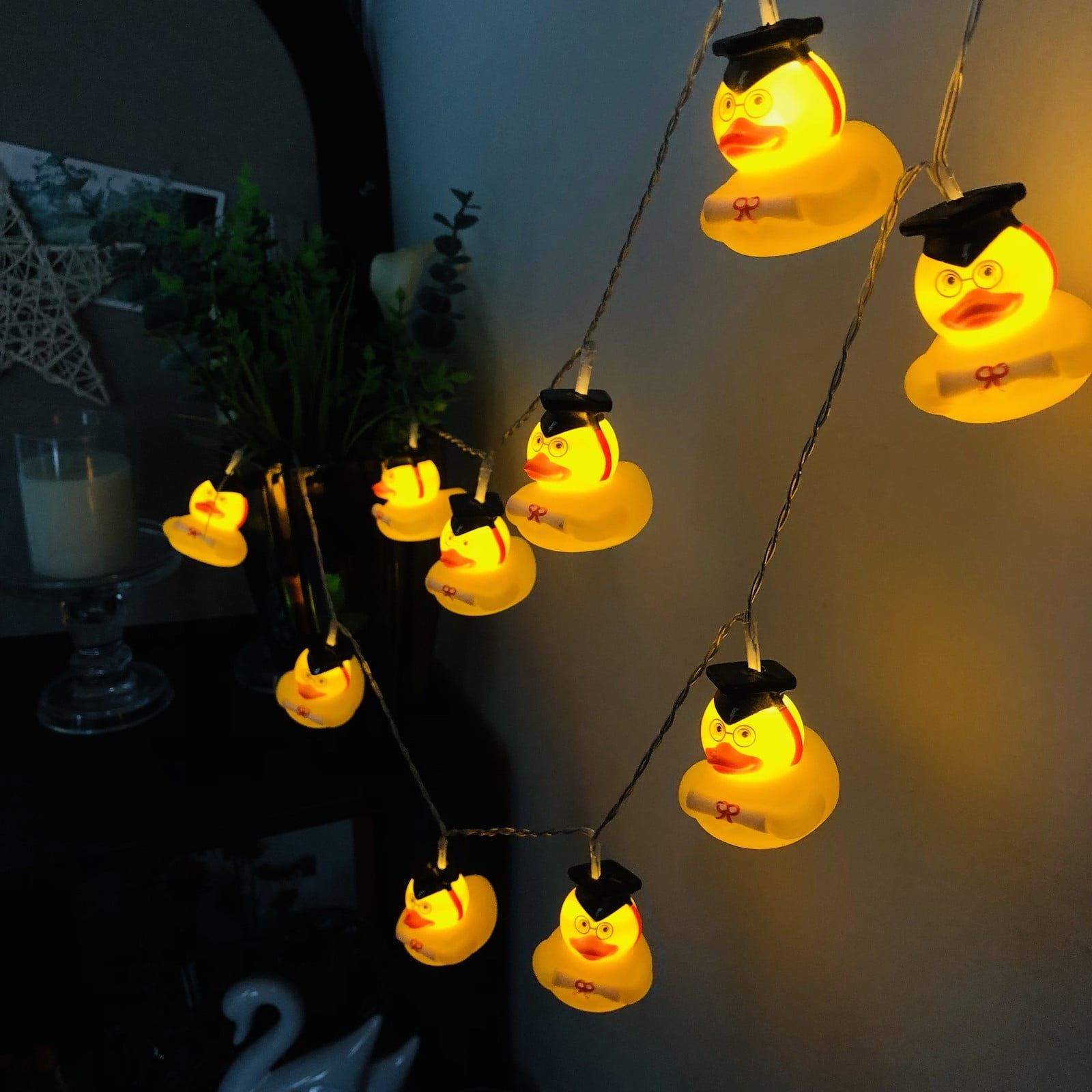 Graduation Ducks String Lights Ducks Night Lights Battery Powered for ...