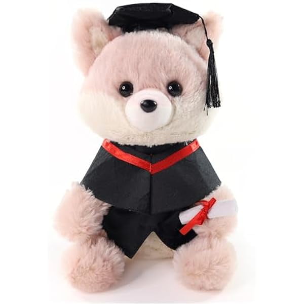 Graduation Gifts Fox Stuffed Animal - 10" Cute Fox Plush Toy with ...