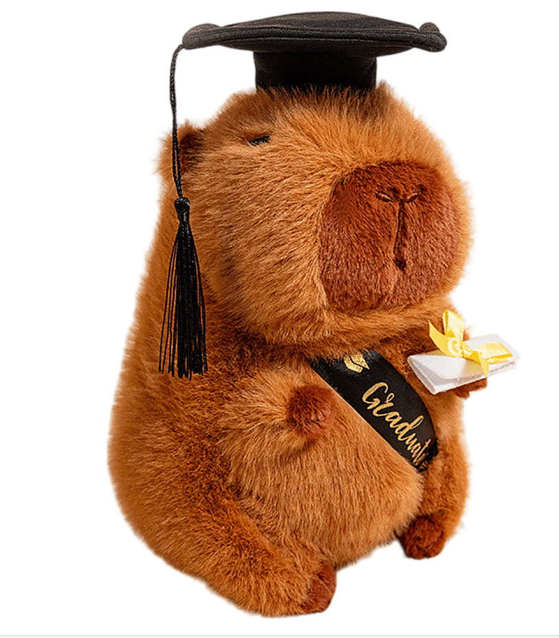 Graduation Plushies: Graduation Plush Bear Toy, Graduation Plush 2025 ...