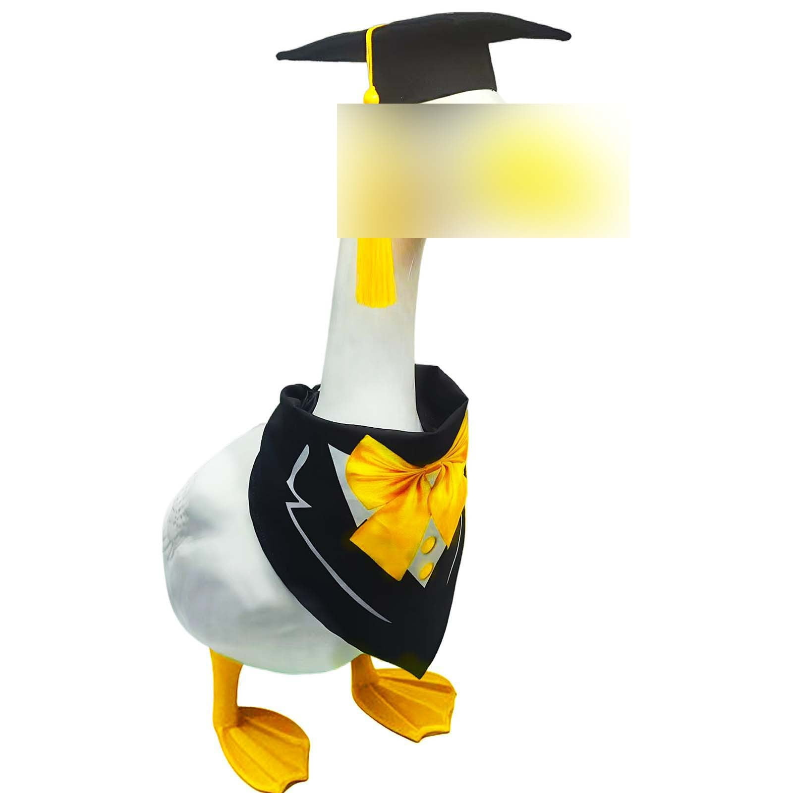Graduation Porch Goose Outfit - Black & Gold Themed Costume for Yard ...
