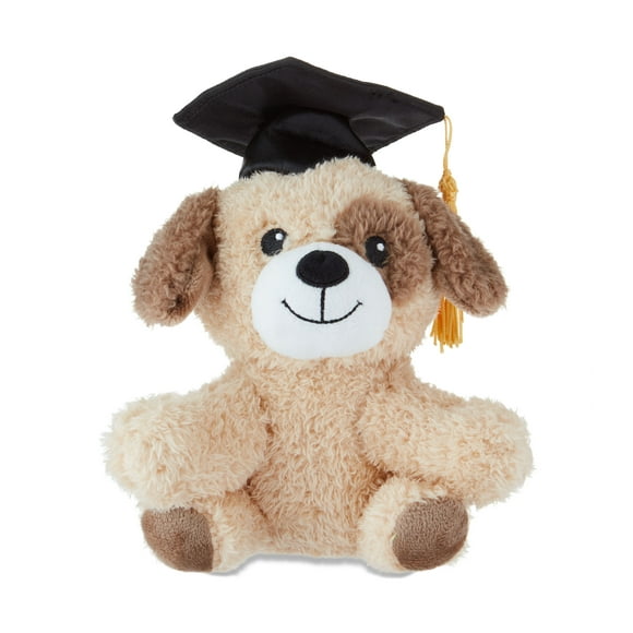 Graduation Plush - Walmart.com