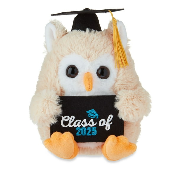 Graduation Plush - Walmart.com