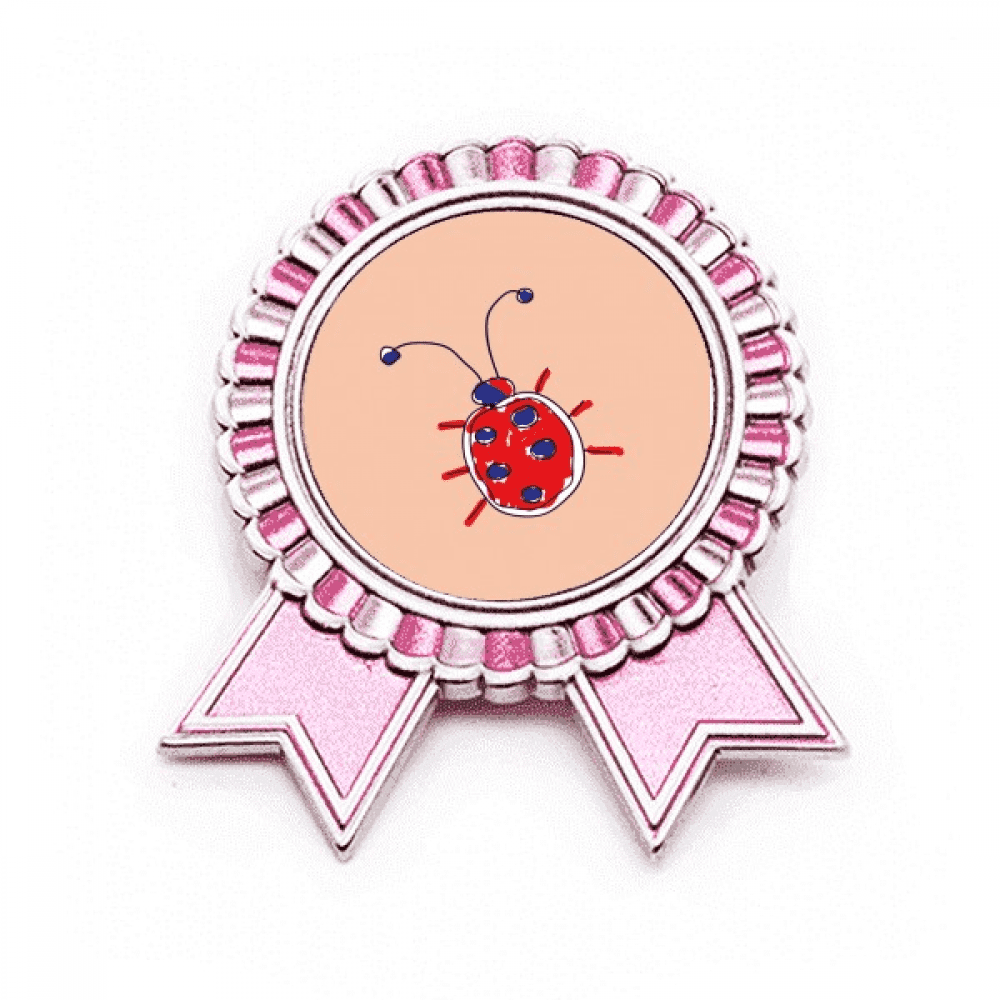 Graffiti Animation Hand Painted Ladybug Badge Brooch Pin Pink Winner ...
