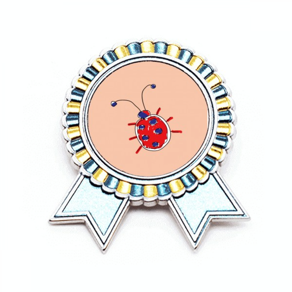 Graffiti Animation Hand Painted Ladybug Badge Brooch Pin Winner Award ...