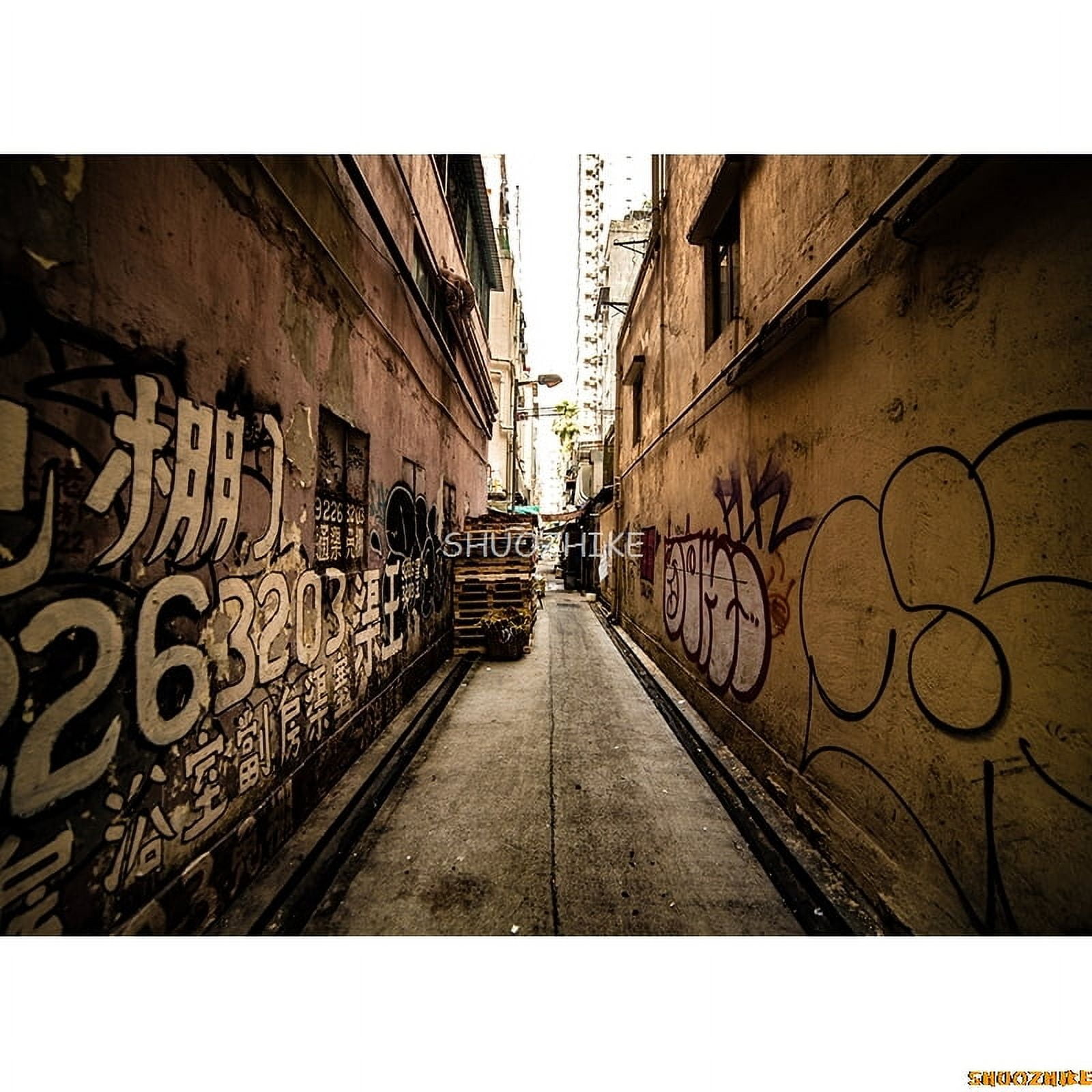 Graffiti Antique Brick Wall Photography Backdrops Props Cemt Texture St ...