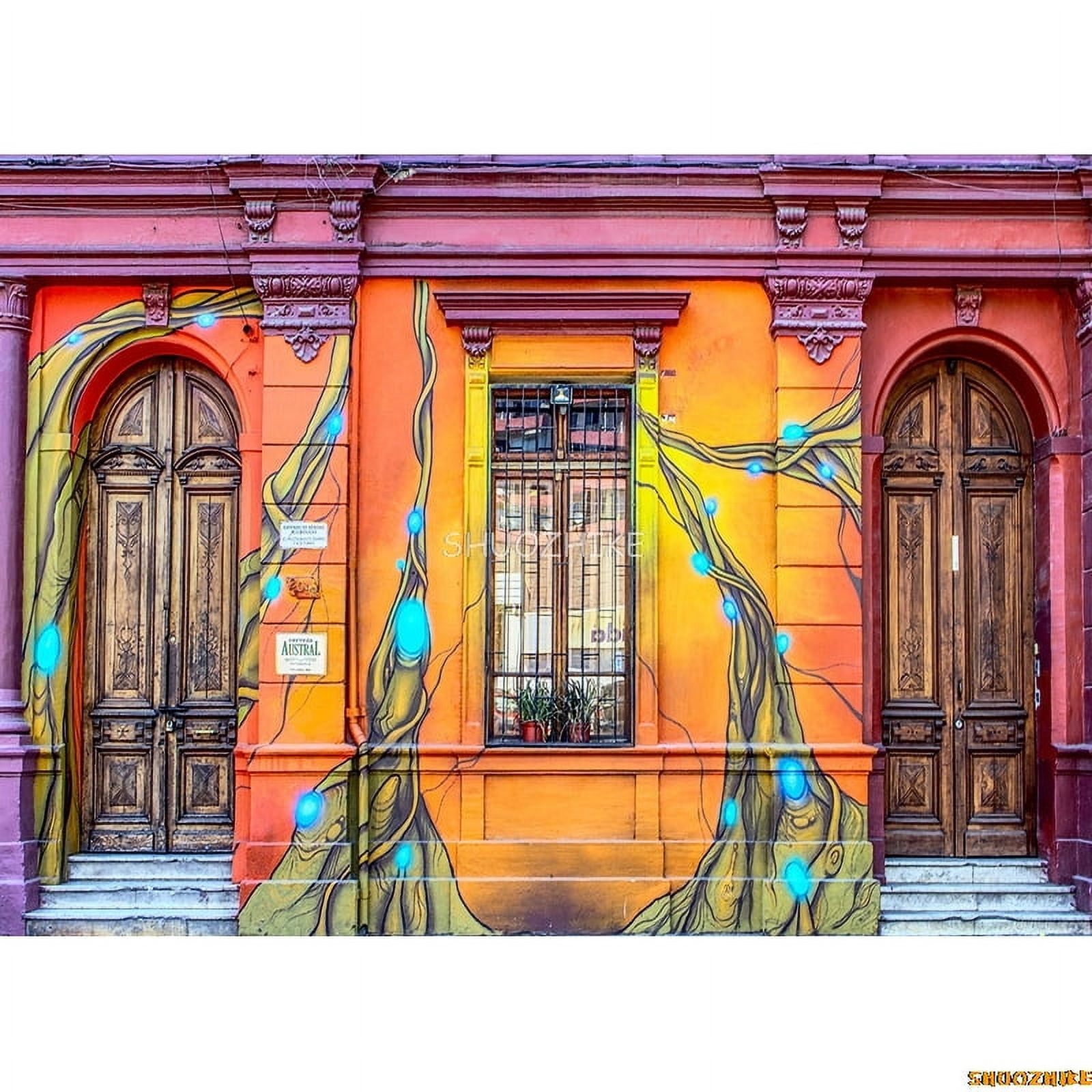 Graffiti Antique Brick Wall Photography Backdrops Props Cemt Texture St ...