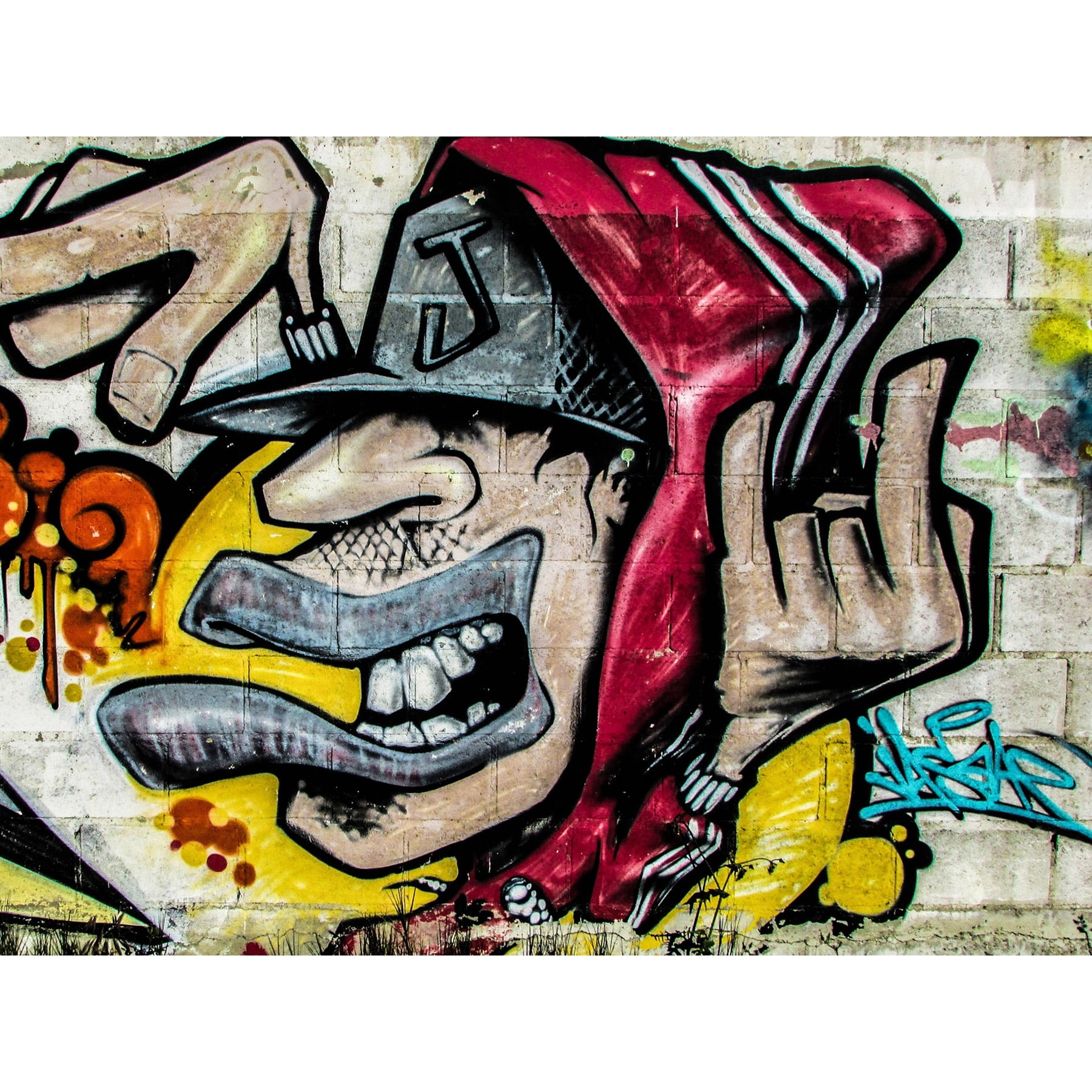 Graffiti Guy Dude Street Art Large Wall Art Print - Walmart.com
