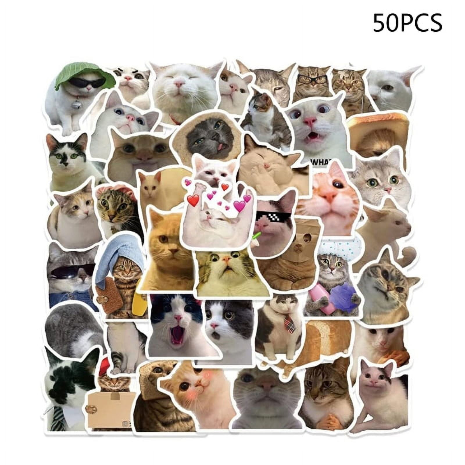 Graffiti Meme Stickers Pack of 50 Stickers Scrapbook- Stationery- Decal ...