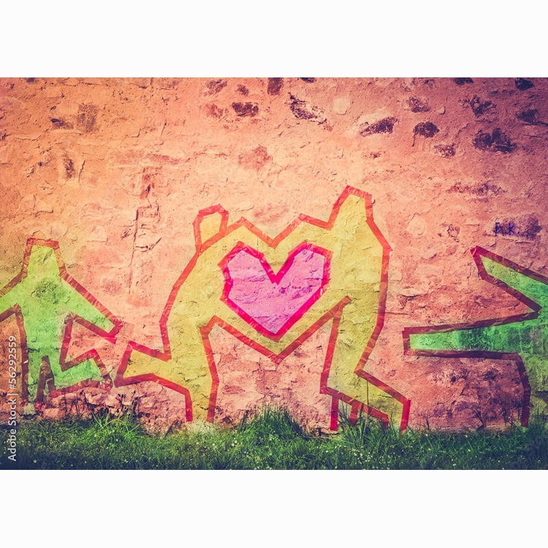 Graffiti Photography Backdrops Studio Props Vintage Brick Wall Photo Photography Background STO ...