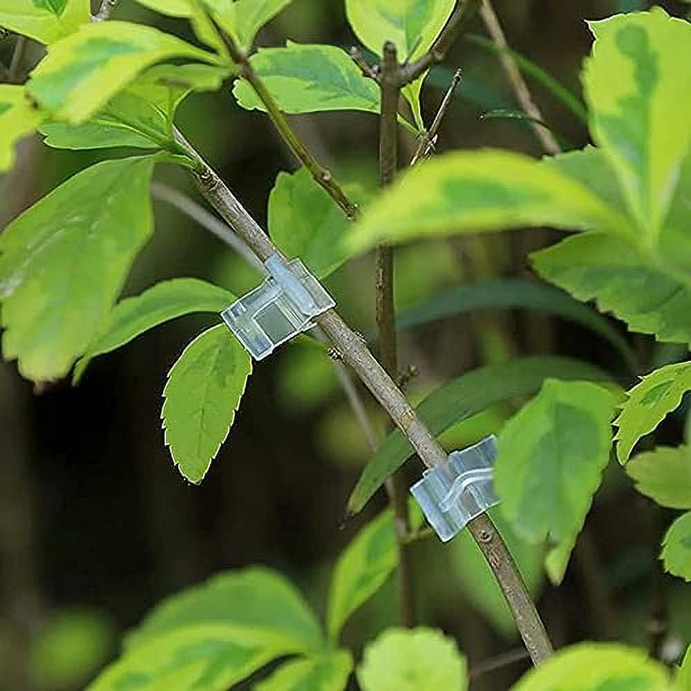 Grafting Clip - 100pcs Special Grafting Clip Tomato Seedling Grafting ...