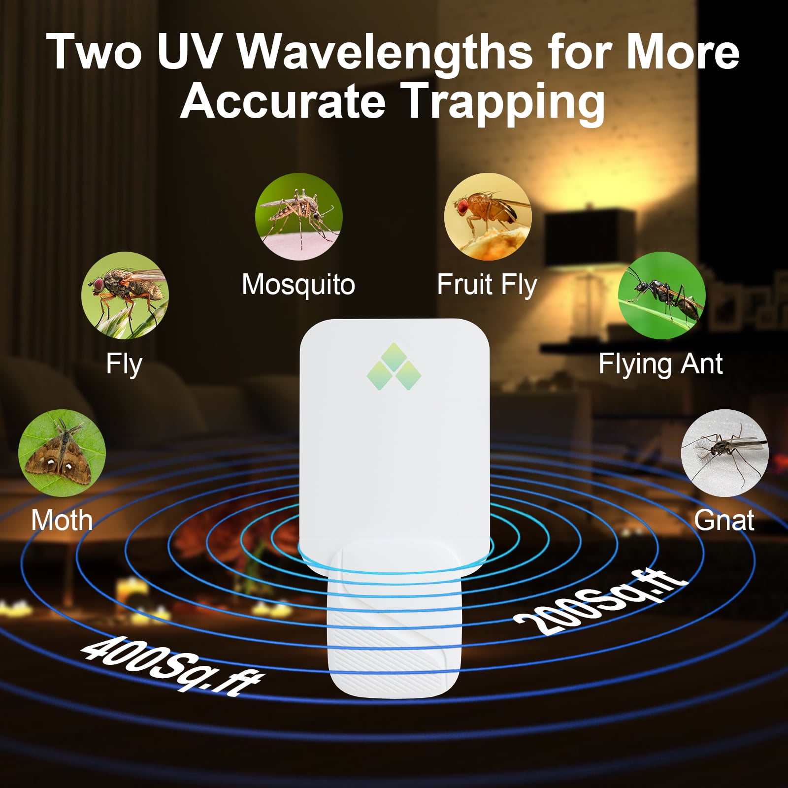 Gragaski Fruit Fly Traps for Indoors, Plug-in Fly Trap for Flies, Fruit ...