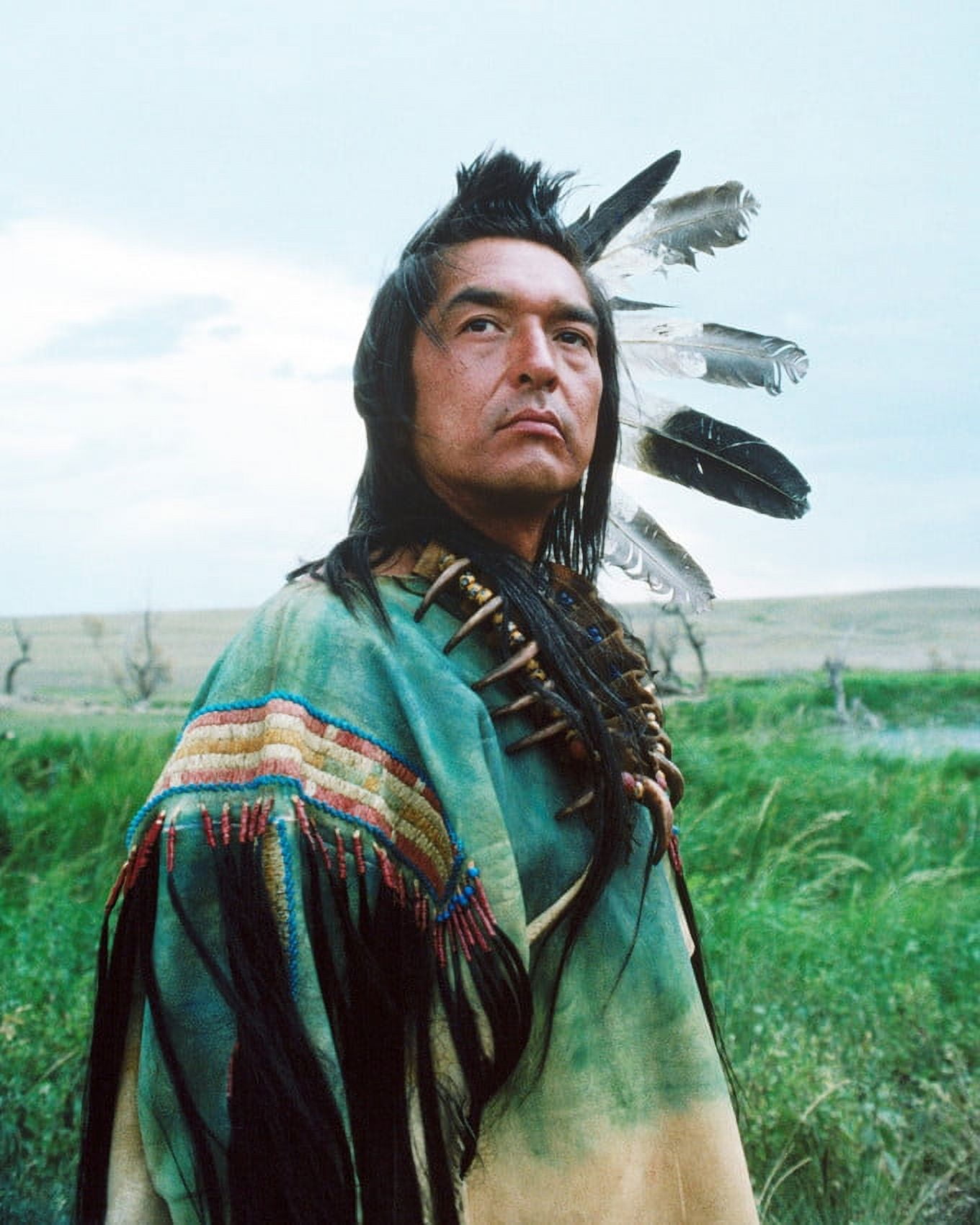 Graham Greene Dances With Wolves Indian Chief 24x36 HD Aluminum Wall ...