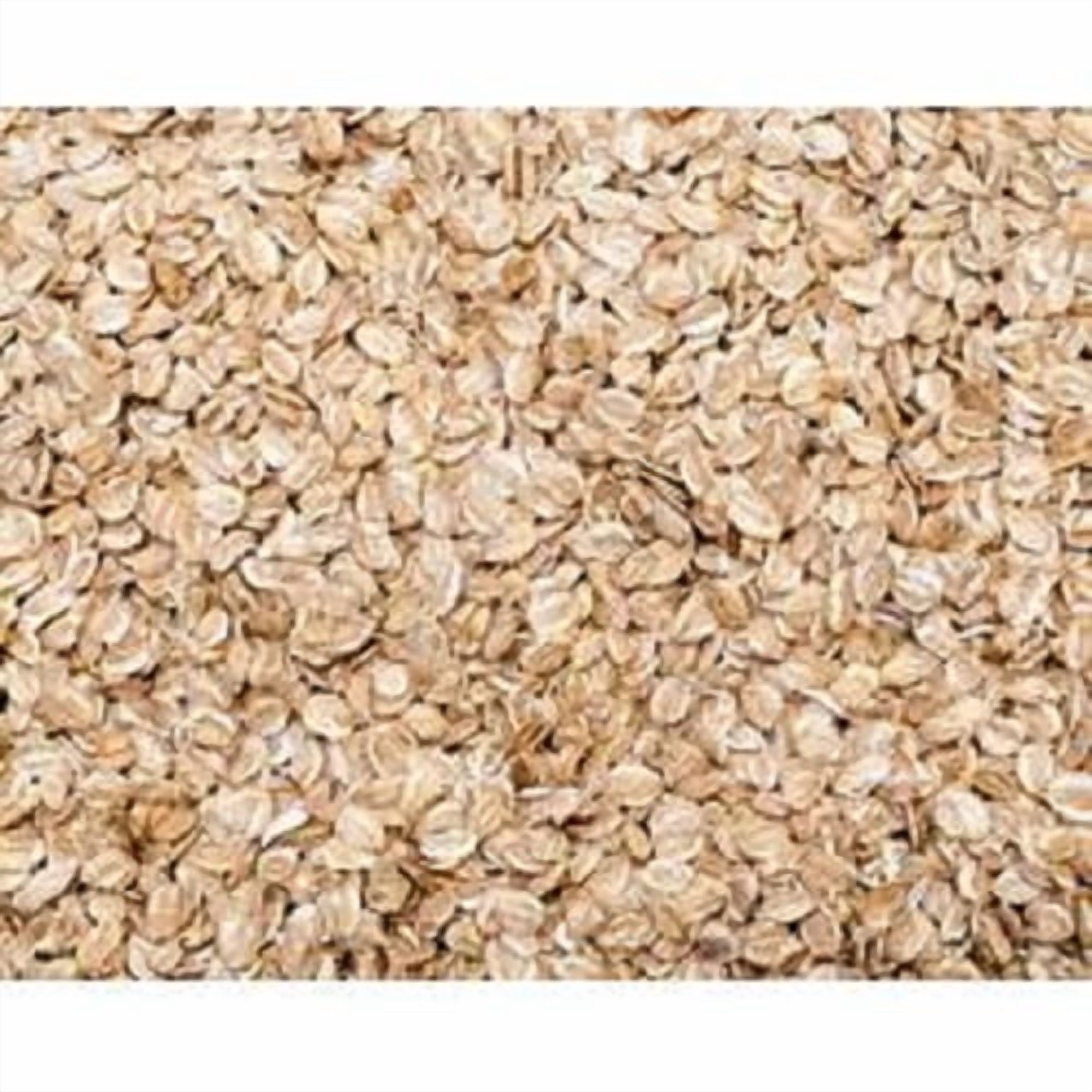 Regular Rolled Oats (25 Pound Bag) Non-GMO by Grain Millers - Walmart.com