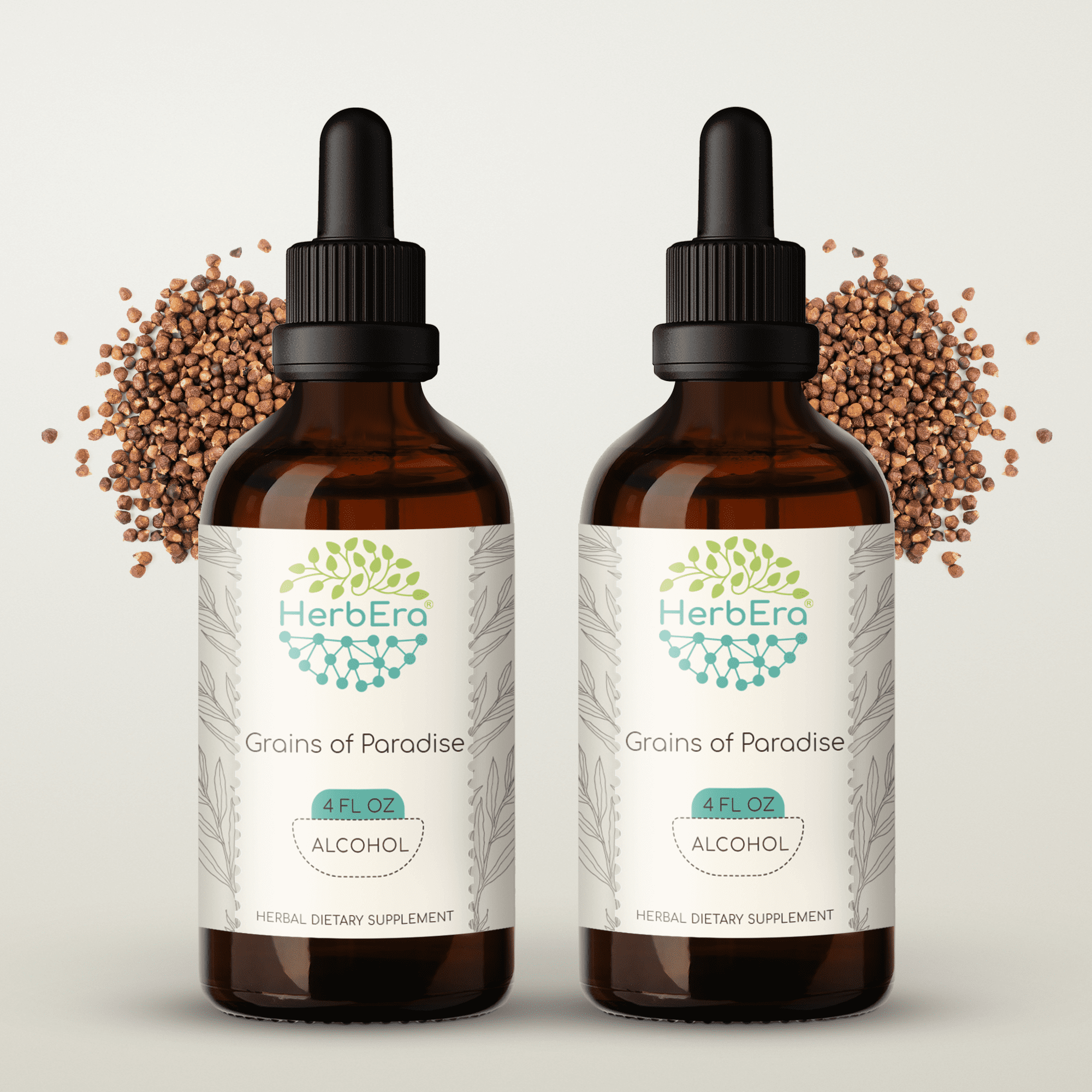 Grains of Paradise Alcohol Herbal Extract Tincture, Super-Concentrated ...