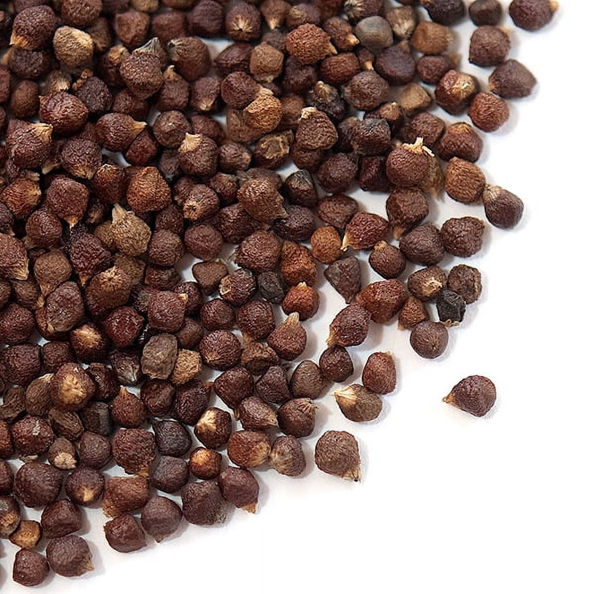 Grains of Paradise (Melegueta Pepper) - Walmart.com
