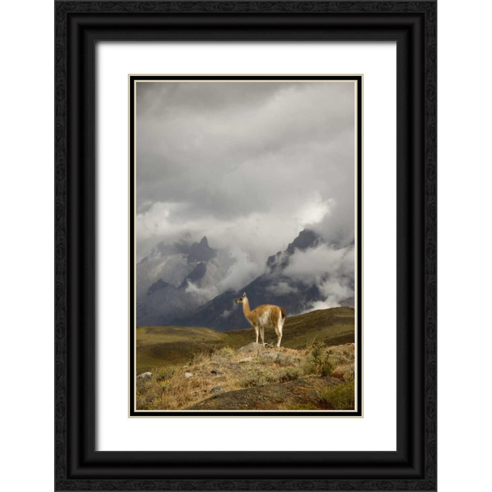 Grall, Don 11x14 Black Ornate Wood Framed with Double Matting Museum ...