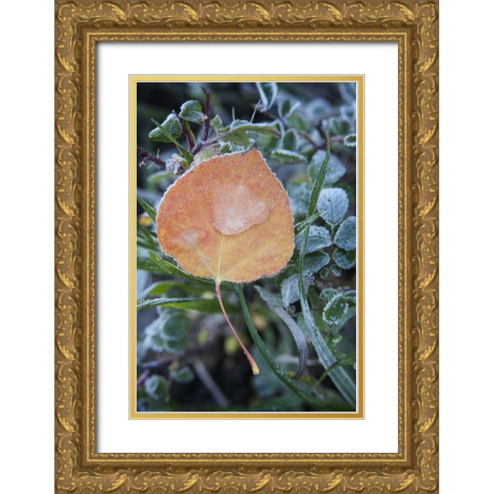 Grall, Don 11x14 Gold Ornate Wood Framed with Double Matting Museum Art ...