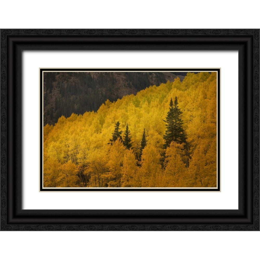 Grall, Don 14x11 Black Ornate Wood Framed with Double Matting Museum ...