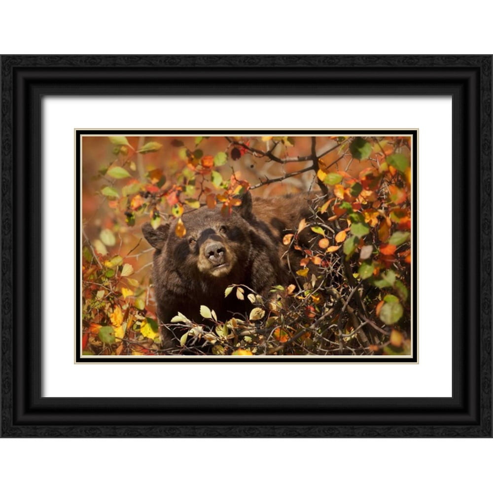 Grall, Don 14x11 Black Ornate Wood Framed with Double Matting Museum Art Print Titled - WY ...